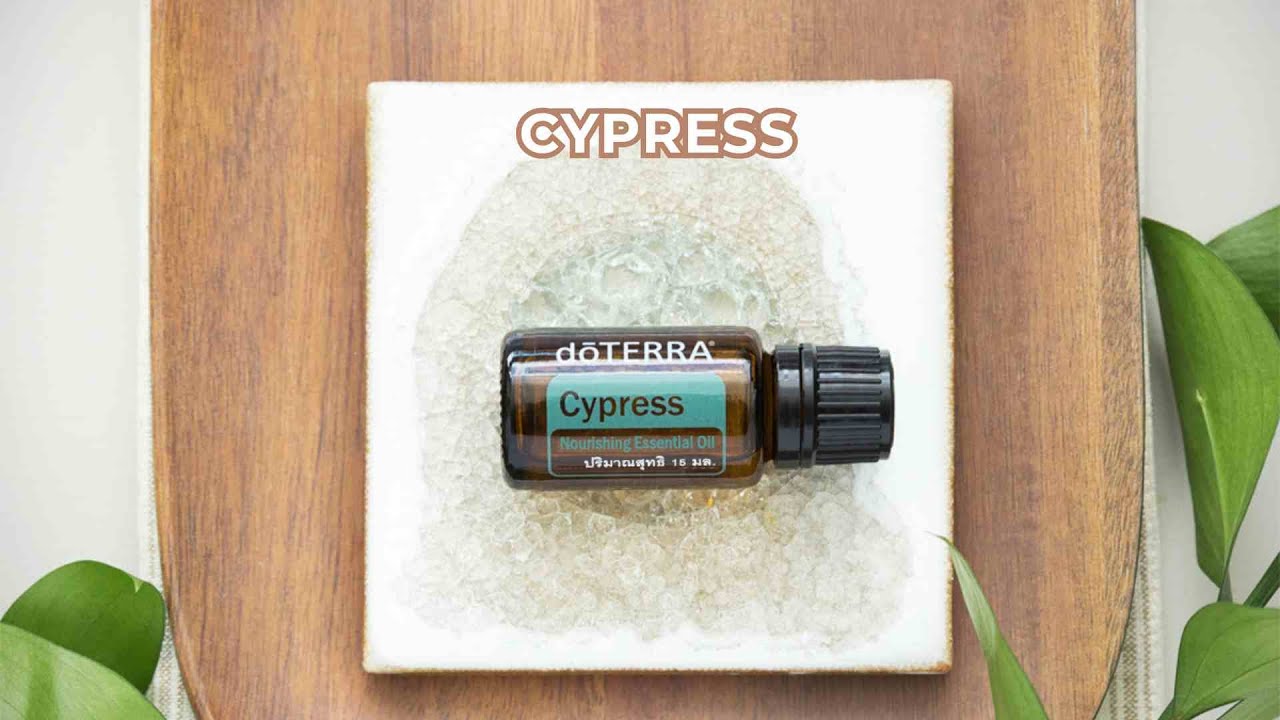 CYPRESS ACEITE ESENCIAL DOTERRA - YouTube
