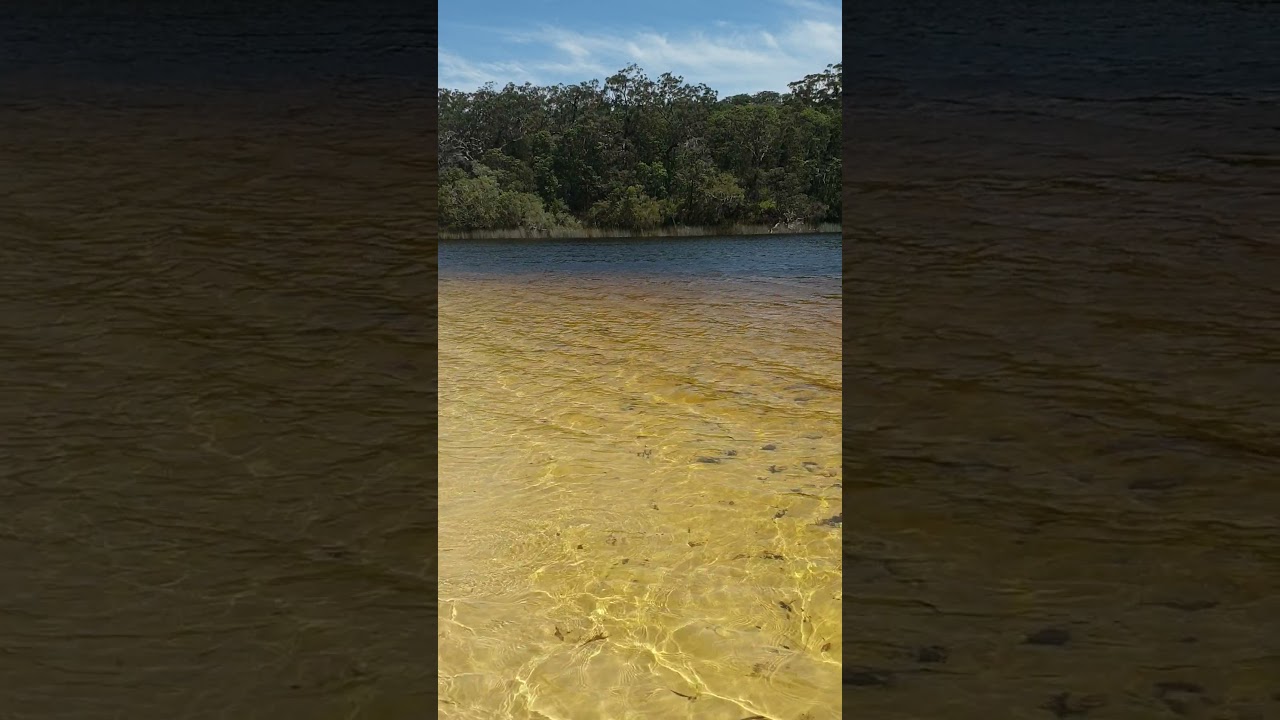 Poona Lake, a hidden gem within the Cooloola National Park, Rainbow ...