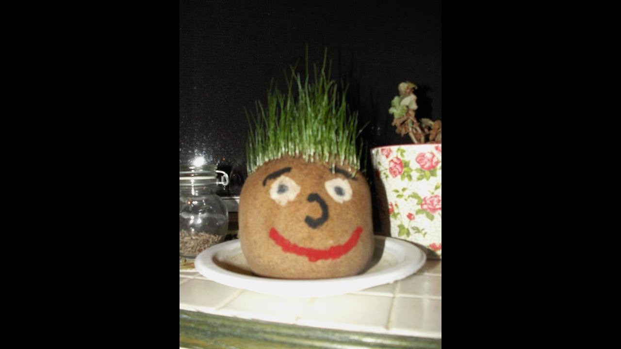 How To Make A Grass Head - YouTube