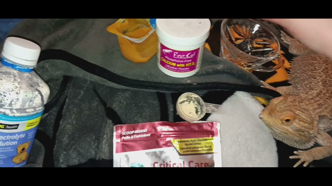 up date on Sheldon and info about food supplements and force feeding ...