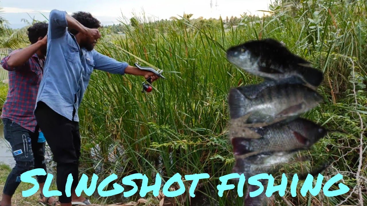 Slingshot🏹 fishing|very big😱 tilapia fish🐟 catching using slingshot ...