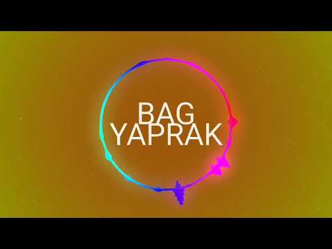 Wepa Orazow-bag ýaprak (sözi-Wepa.O)