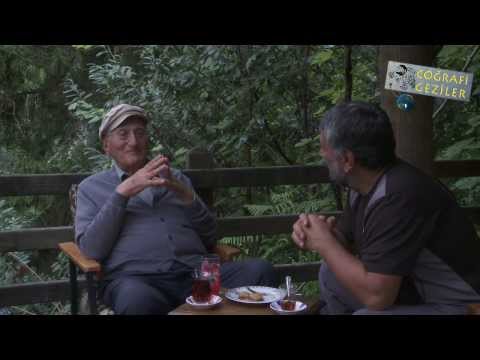 Bir Ağaç Dile Geldi...