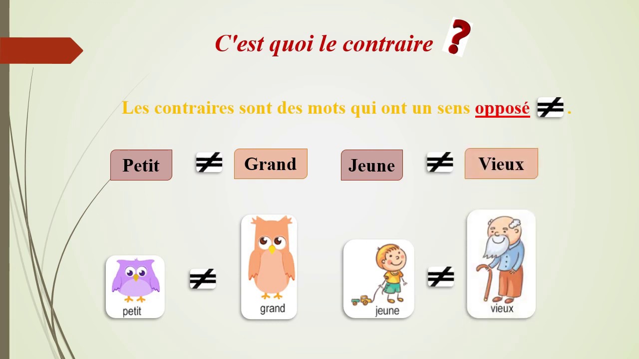 CE2 les mots de sens contraire - YouTube