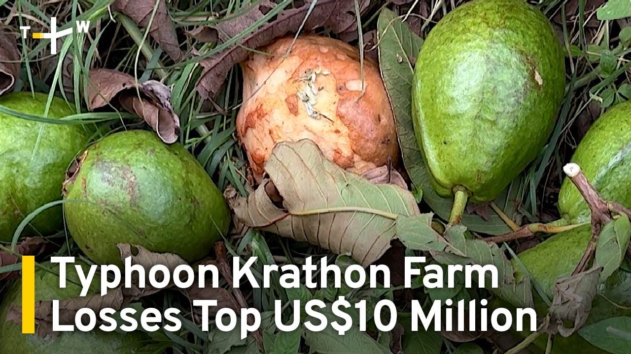 Taiwan Counts Agricultural Cost of Typhoon｜TaiwanPlus News - YouTube