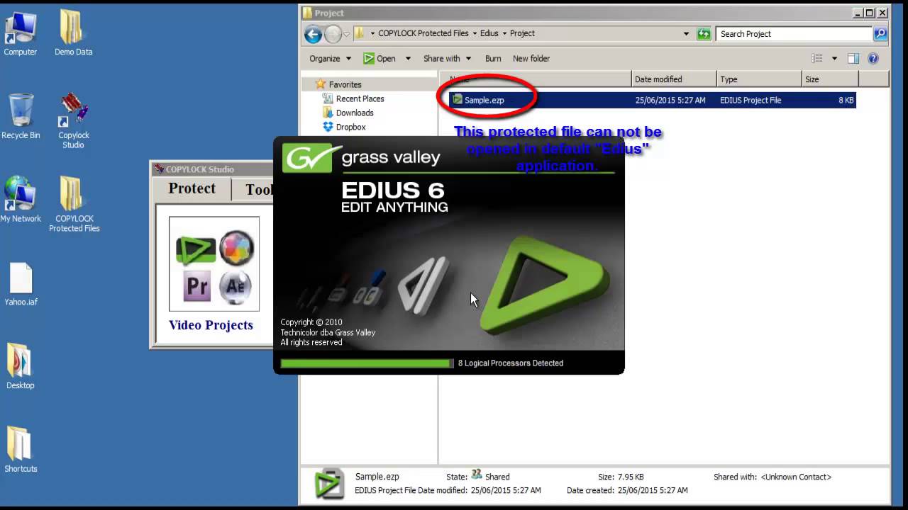 Copylock Edius File Protection - automationlasopa