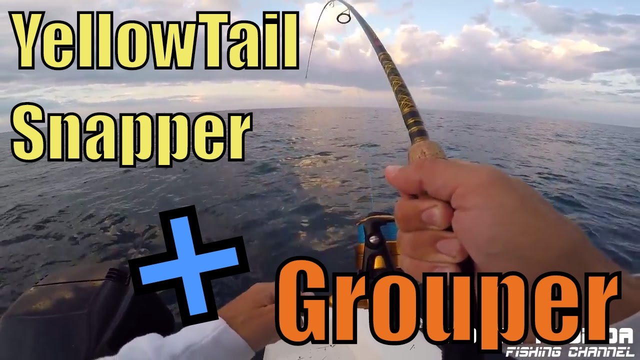 Yellowtail Snapper & Grouper Fishing - Key Largo Florida - YouTube