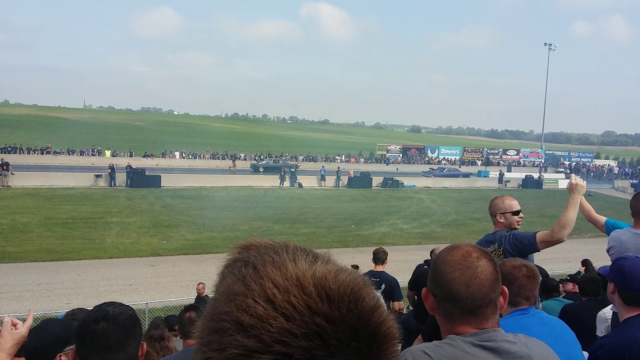 Your best friend(6) - YouTube