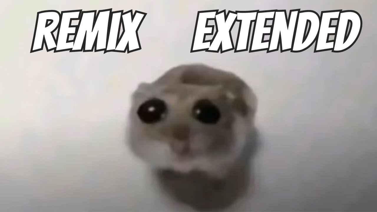 Epic Sad Hamster Meme Remix with a Surprising Happy Ending (Full) - YouTube