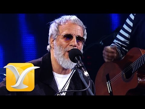 Yusuf Cat Stevens, Where Do The Children Play, Festival de Viña 2015 HD 1080p