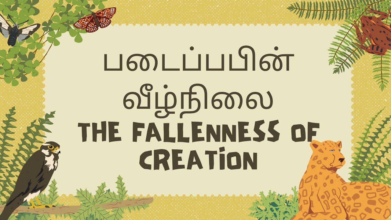 படைப்பபின் வீழ்நிலை |THE FALLENNESS OF CREATION - YouTube
