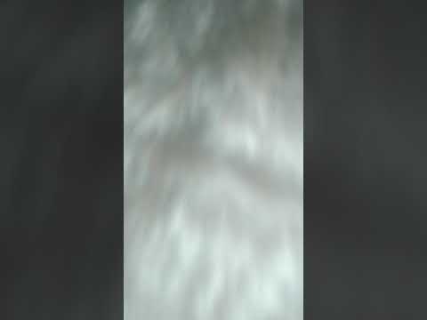 Aydın kurtoglu uyudunmu bensiz memet can