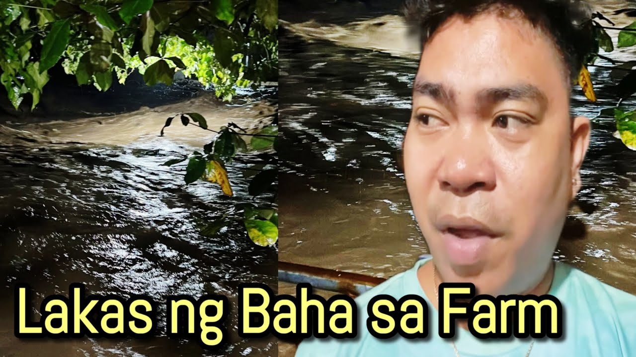 Lakas ng baha sa farm, @BrendaMageOfficial di mapakali dahil nataboy na ...