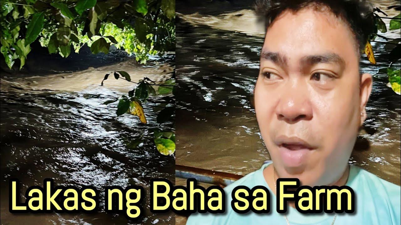 Lakas ng baha sa farm, @BrendaMageOfficial di mapakali dahil nataboy na mga mesa at tulay😱 - YouTube
