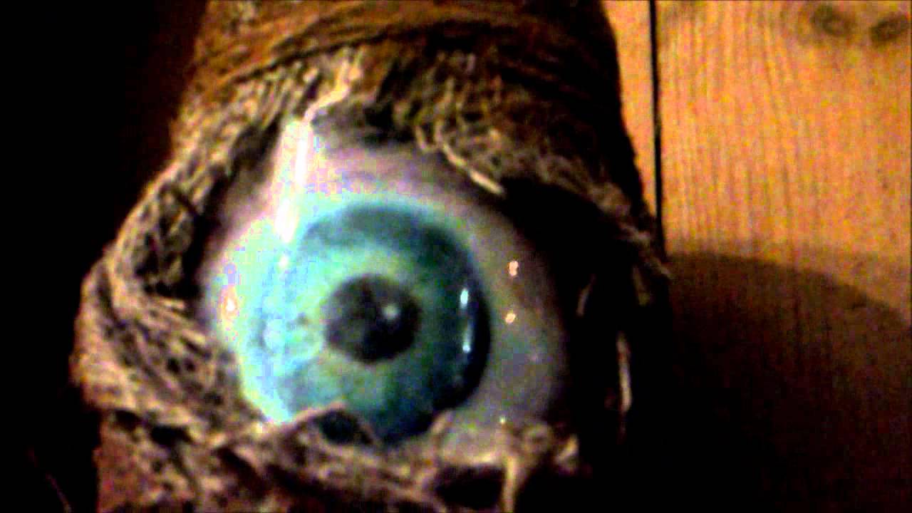 Spooky Evil Eyeball Light jar Halloween Haunted House Handmade Prop By ...