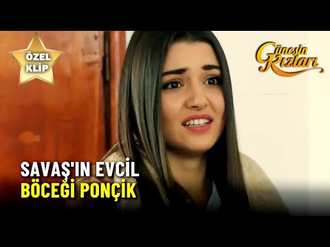 Savaş'ın Evcil Böceği Ponçik! - Güneşin Kızları Özel Klip