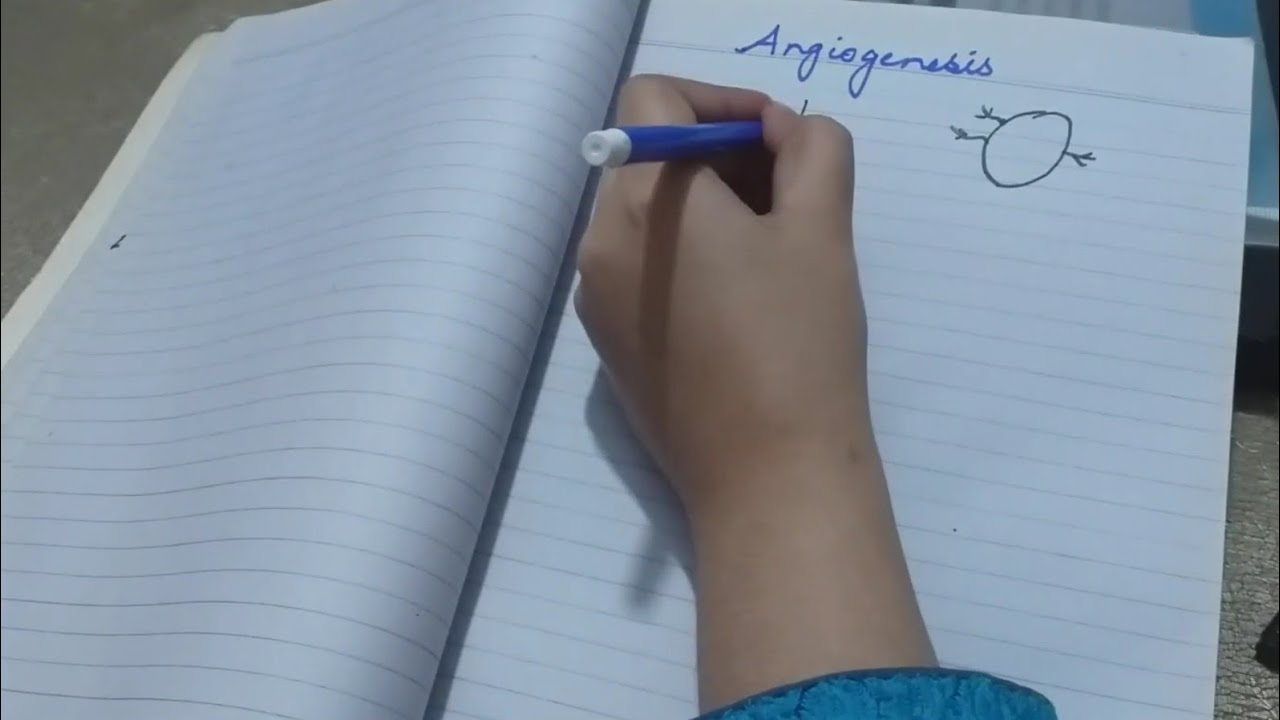 Angiogenesis | Tissue repair by scarring (part 2) - YouTube