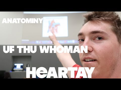 Human Antimony - YouTube