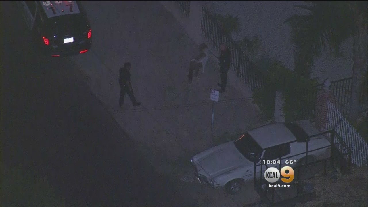 Exclusive Video From CBSLA Captures Little Pony As It Led Police On ...