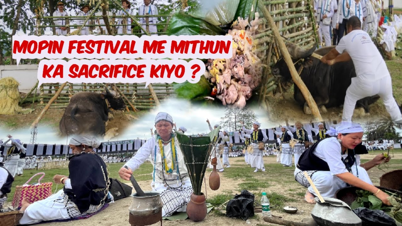 Happy Mopin Festival 🌾Of Galo Tribe in Arunachal Pradesh 2023# ...