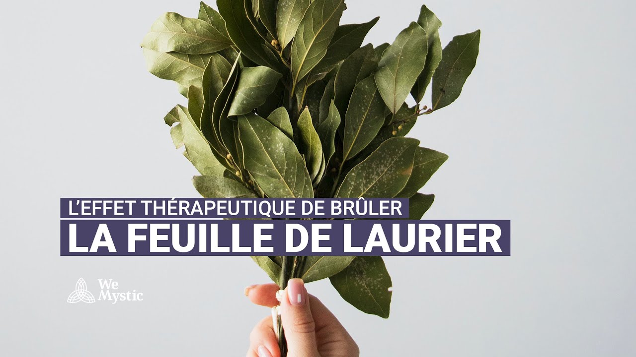 L’effet thérapeutique de brûler de la feuille de laurier - YouTube