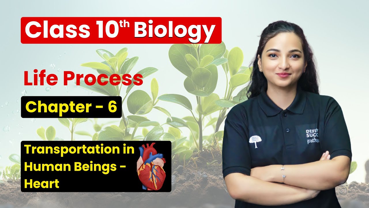 Life Processes - Transportation in human beings - Heart | Class 10 ...