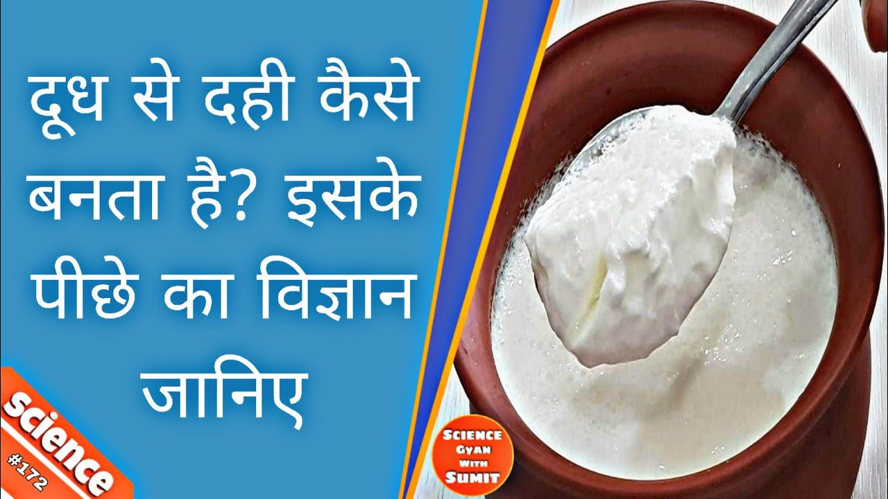 दूध से दही कैसे बनता है? | dudh se dahi kaise banta hai science kya hai ...