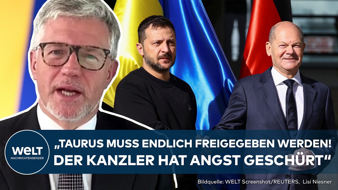 SCHOLZ TRIFFT SELENSKYJ: Ex-Botschafter Andrij Melnyk über mögliche ...