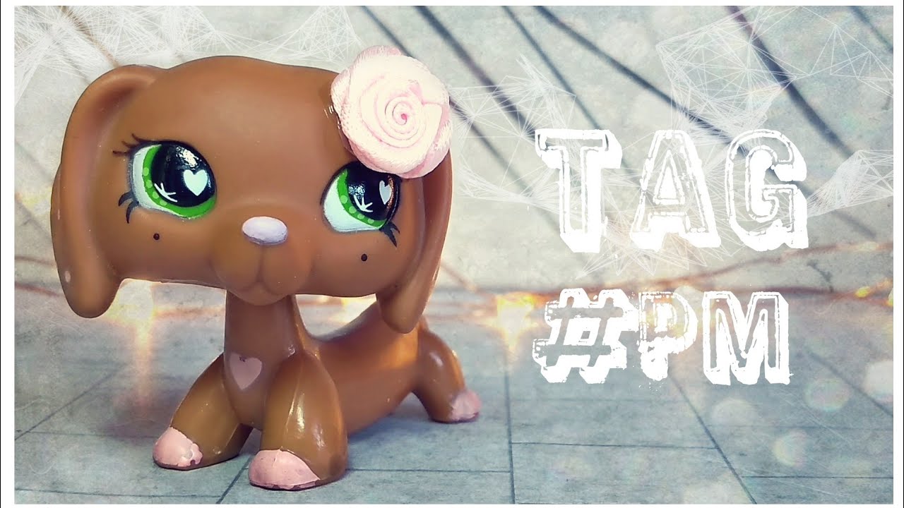 LPS ~ ☀️ TAG #PM ☀️ - YouTube