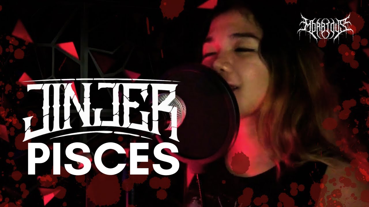 PISCES JINJER COVER - YouTube