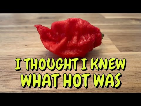 THE WHOLE GAME CHANGED FOR ME TODAY! Do Scoville Heat Units matter anymore? Not to me! Here's why...