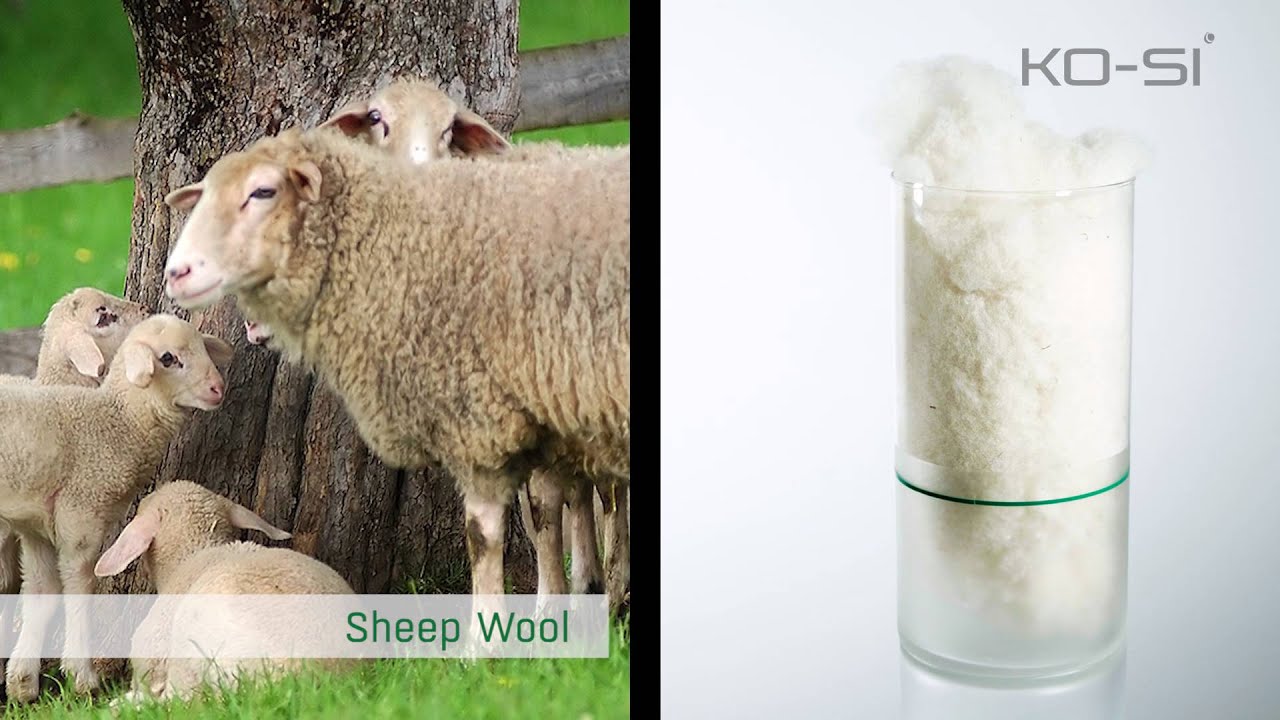 KO-SI presentation - YouTube