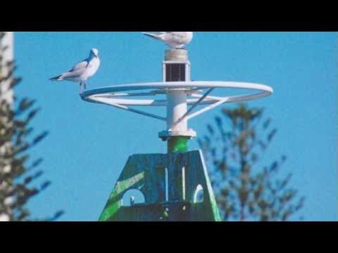 Bird Busta - No 1 Bird Deterrent - YouTube