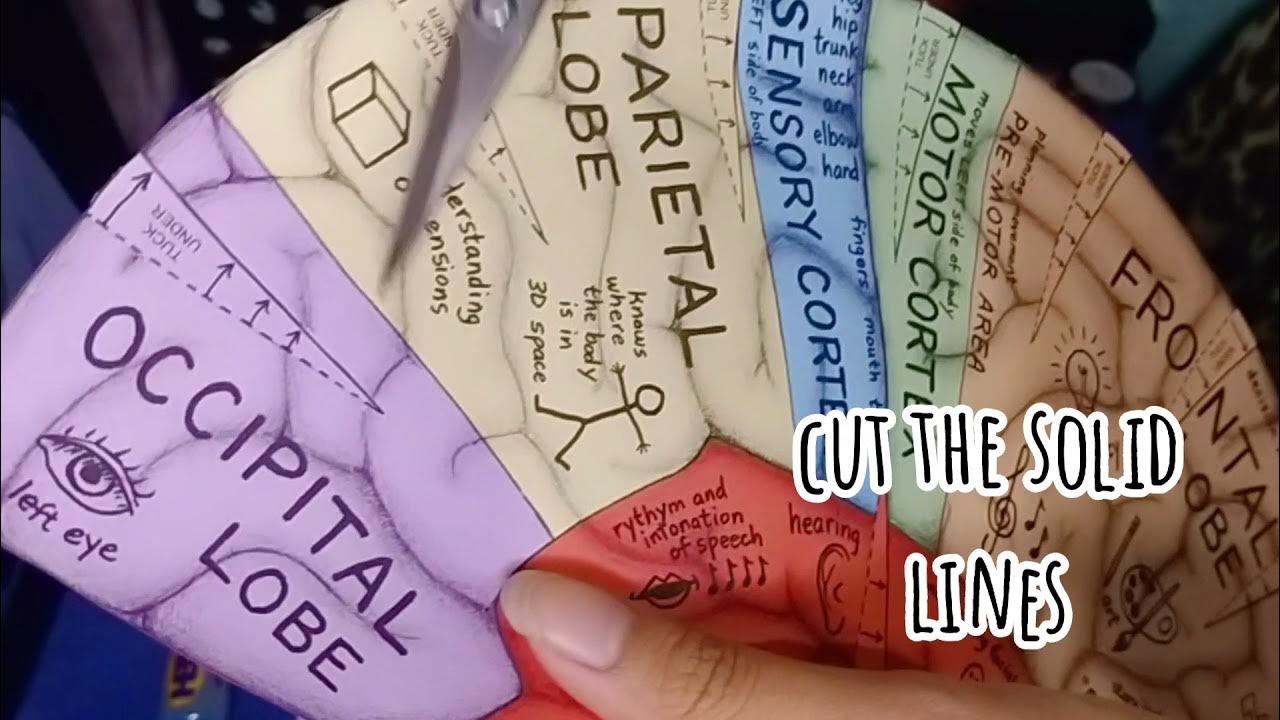 HOW TO CREATE BRAIN HAT / OUTPUT - YouTube