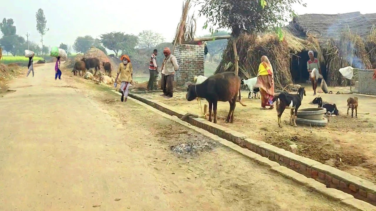 Real Life up Village ||How do village people live a happy life || Daily ...