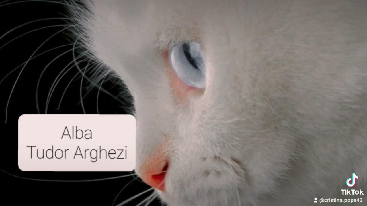 Alba_Tudor Arghezi - YouTube