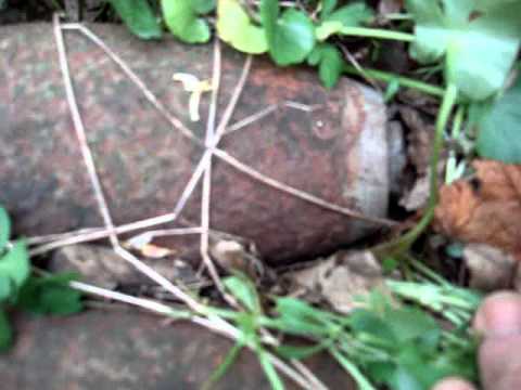 Four ww1 artillery live shells found in the somme while metal detecting ...