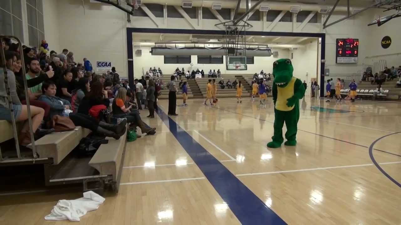 A Day in the Life as the Gator - YouTube