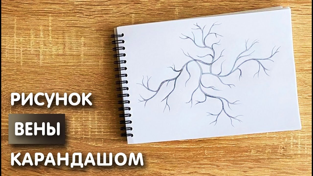 Как нарисовать вены карандашом Рисунок для начинающих поэтапно Youtube