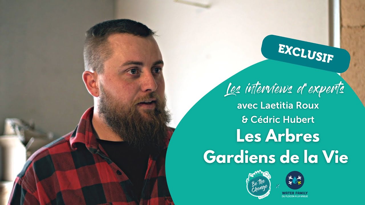 CEDRIC HUBERT : Sculpteur sur bois et Energéticien - Interview BONUS - YouTube