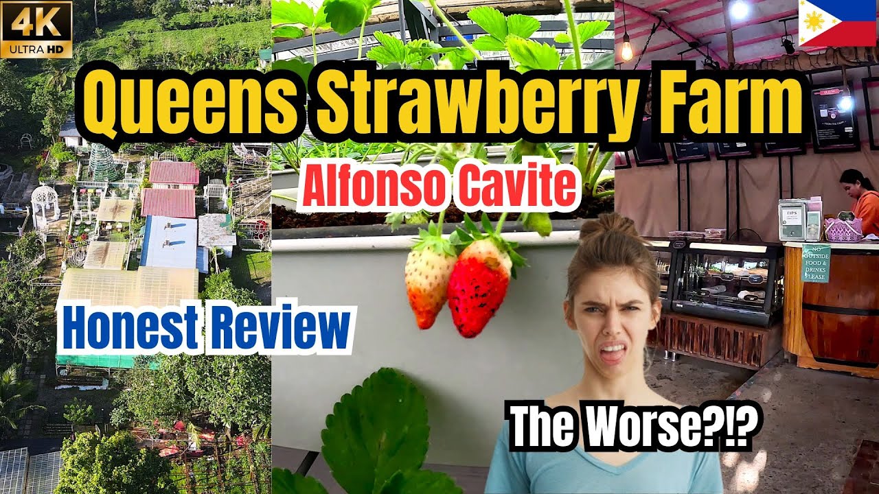 Queens Strawberry Farm: Hidden Gem or Overrated? My Honest Review ...