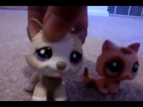 Littlest Pet Shop music intro 2 - YouTube