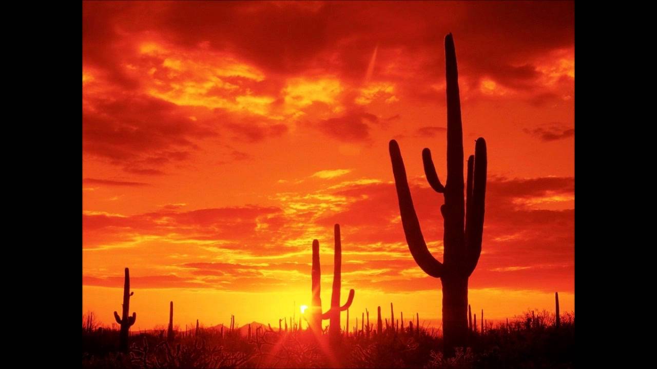 Carolina Terry - Cecilia Terry - Tin Avancini / Cactus (Cover Gustavo ...