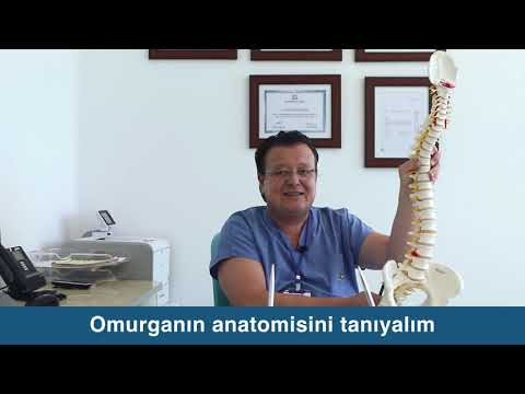 Omurganın anatomisi tanıyalım | Prof. Dr. Ahmet Hilmi Kaya