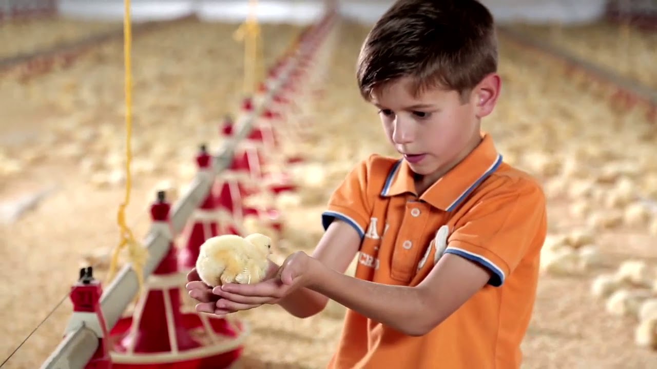 Αγροτικός Πτηνοτροφικός Συνεταιρισμός Ιωαννίνων «ΠΙΝΔΟΣ» - YouTube