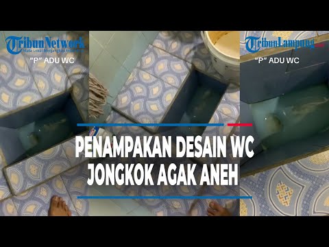 Viral Penampakan Desain WC Jongkok Agak Lain dan Membuat Berfikir Keras