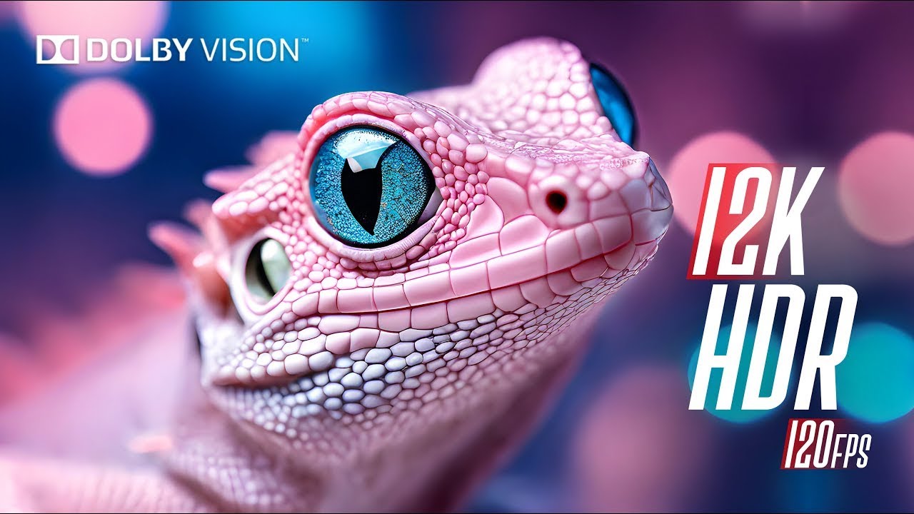 12K video ULTRA HD HDR 120 FPS Dolby Vision - True Beauty - YouTube