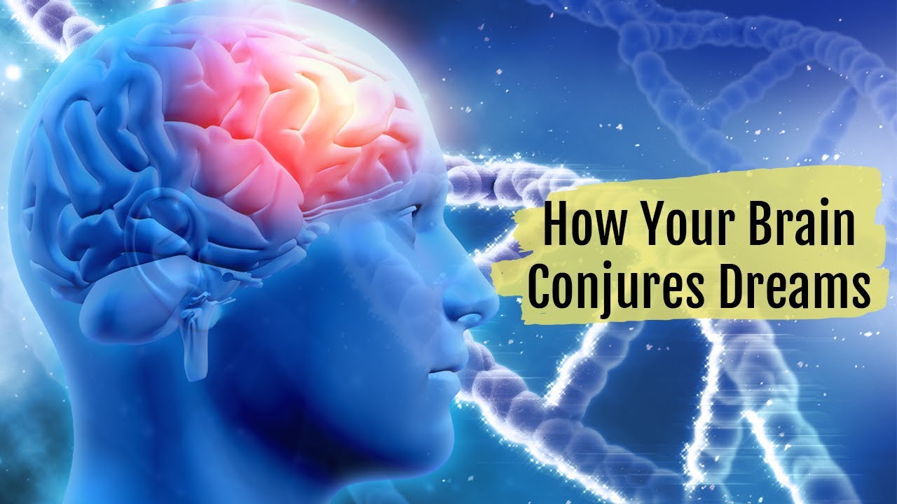 Why Do We Dream? | How Your Brain Conjures Dreams? | How your Brain ...