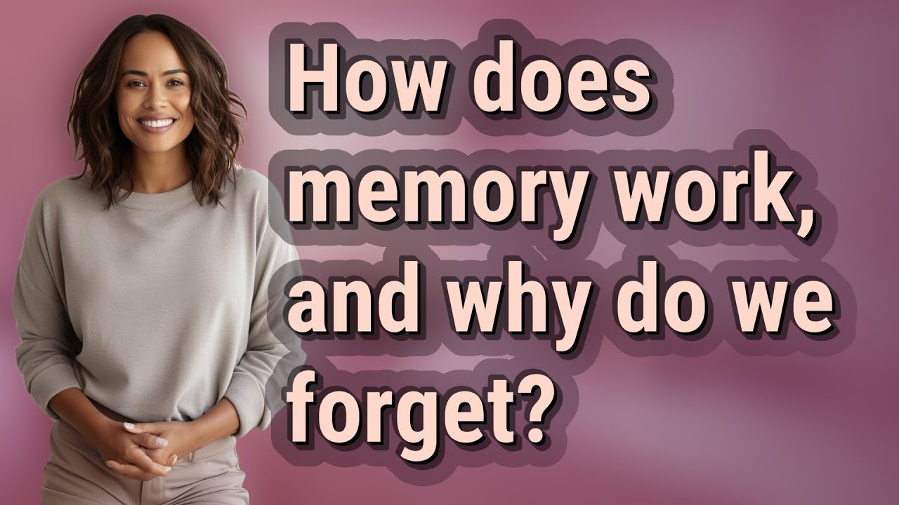 How does memory work, and why do we forget? - YouTube