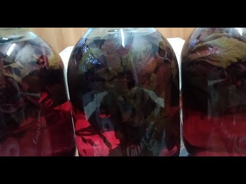 Ürəyi Qüvvətləndirən Böyrəyi Təmizləyən Kompot